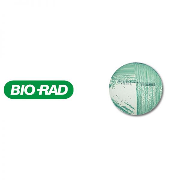 Riboflow Rapid Test For The Molecular Detection Of Cronobacter Spp Generon